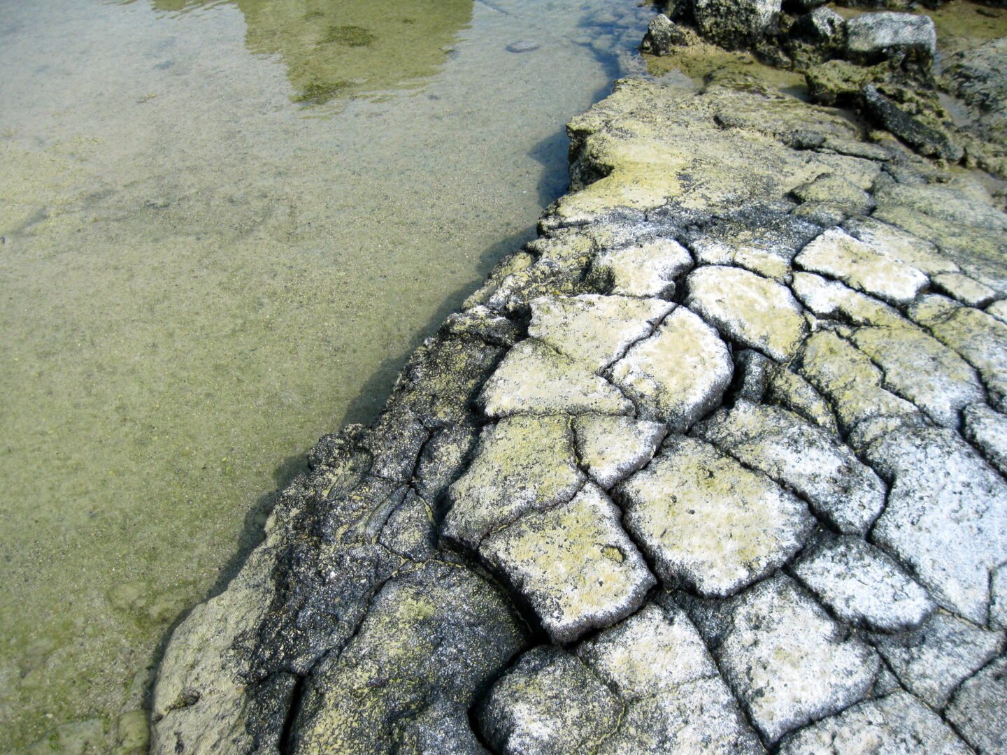 New carbon seize methodology turns up the warmth - YACAK