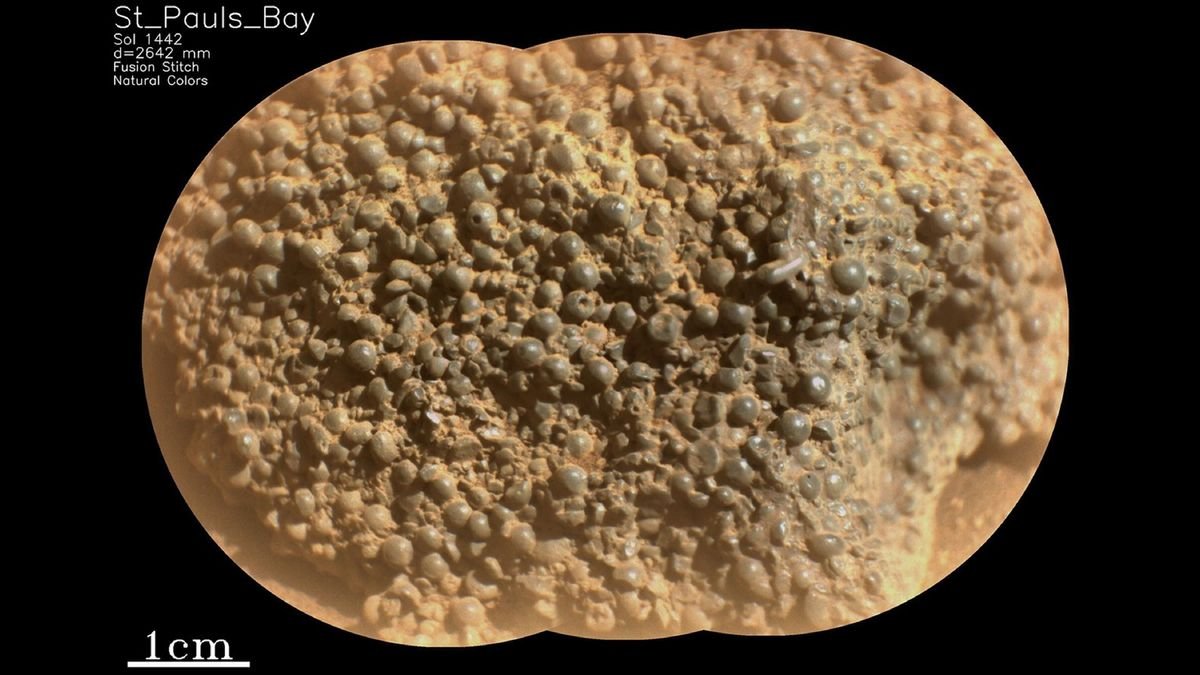 NASA rover spots a whole bunch of 'spider eggs' on Mars — and ...