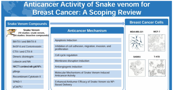 Anticancer Exercise of Snake Venom In opposition to Breast Most cancers ...