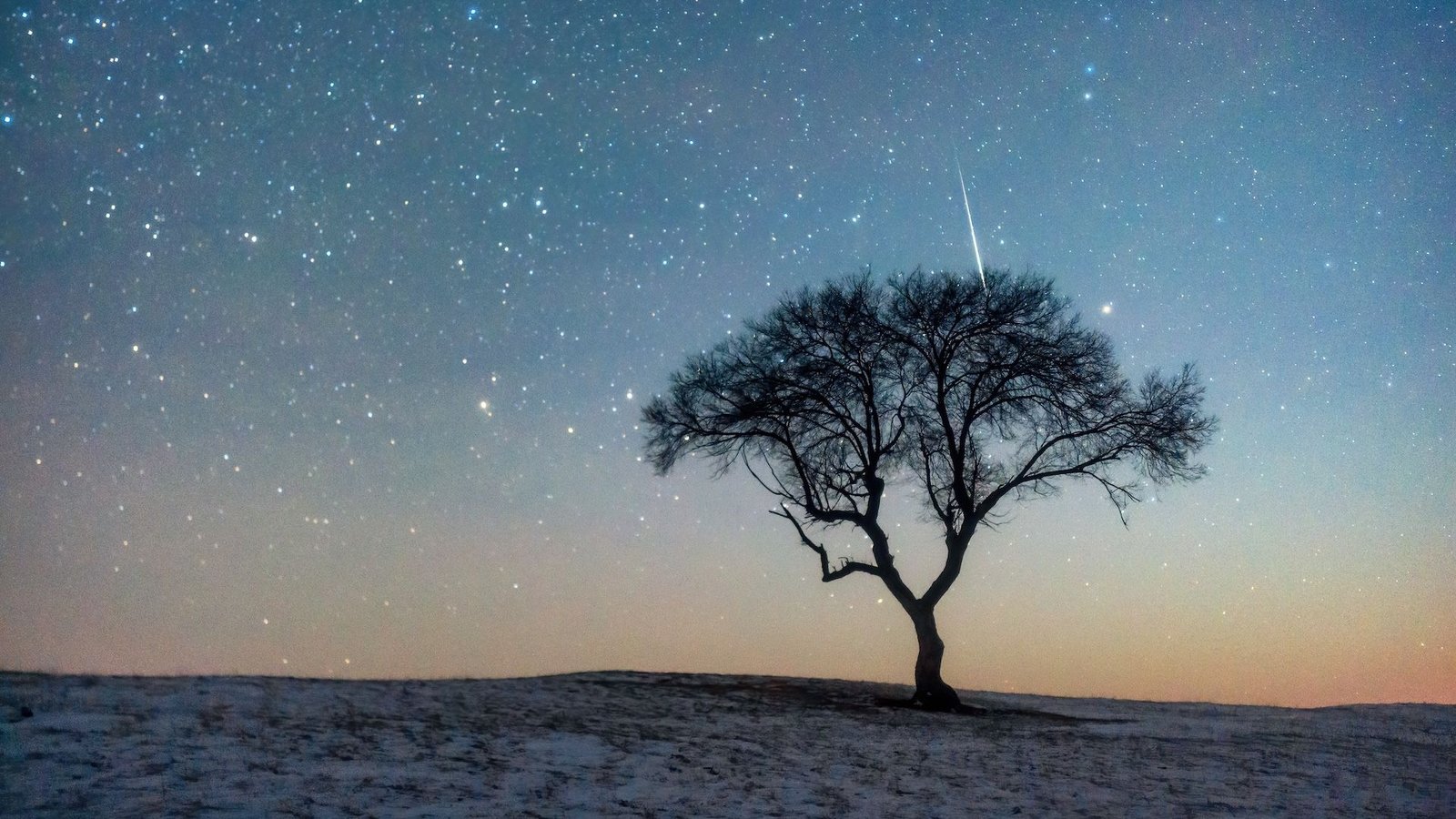Leonids 2025: One of many yr’s final meteor showers may peak with shiny ...