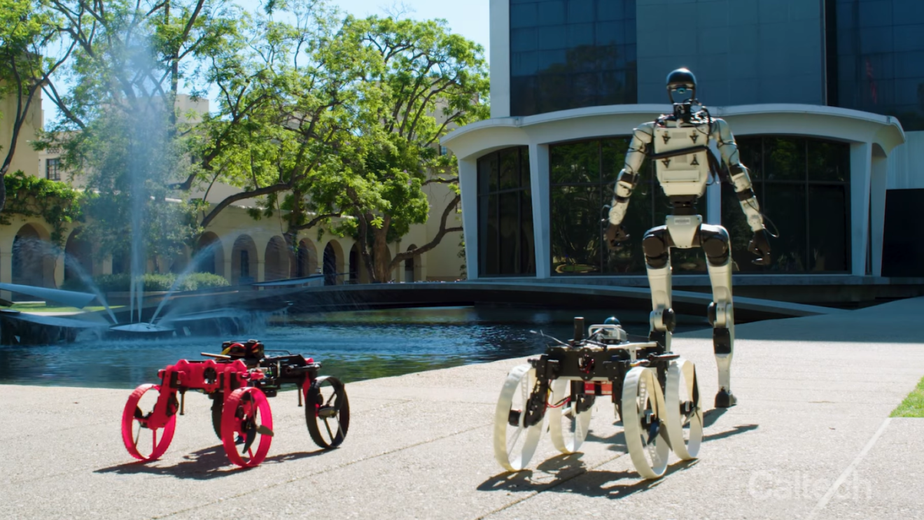 New 'Transformer' humanoid robotic can launch a shapeshifting drone off ...